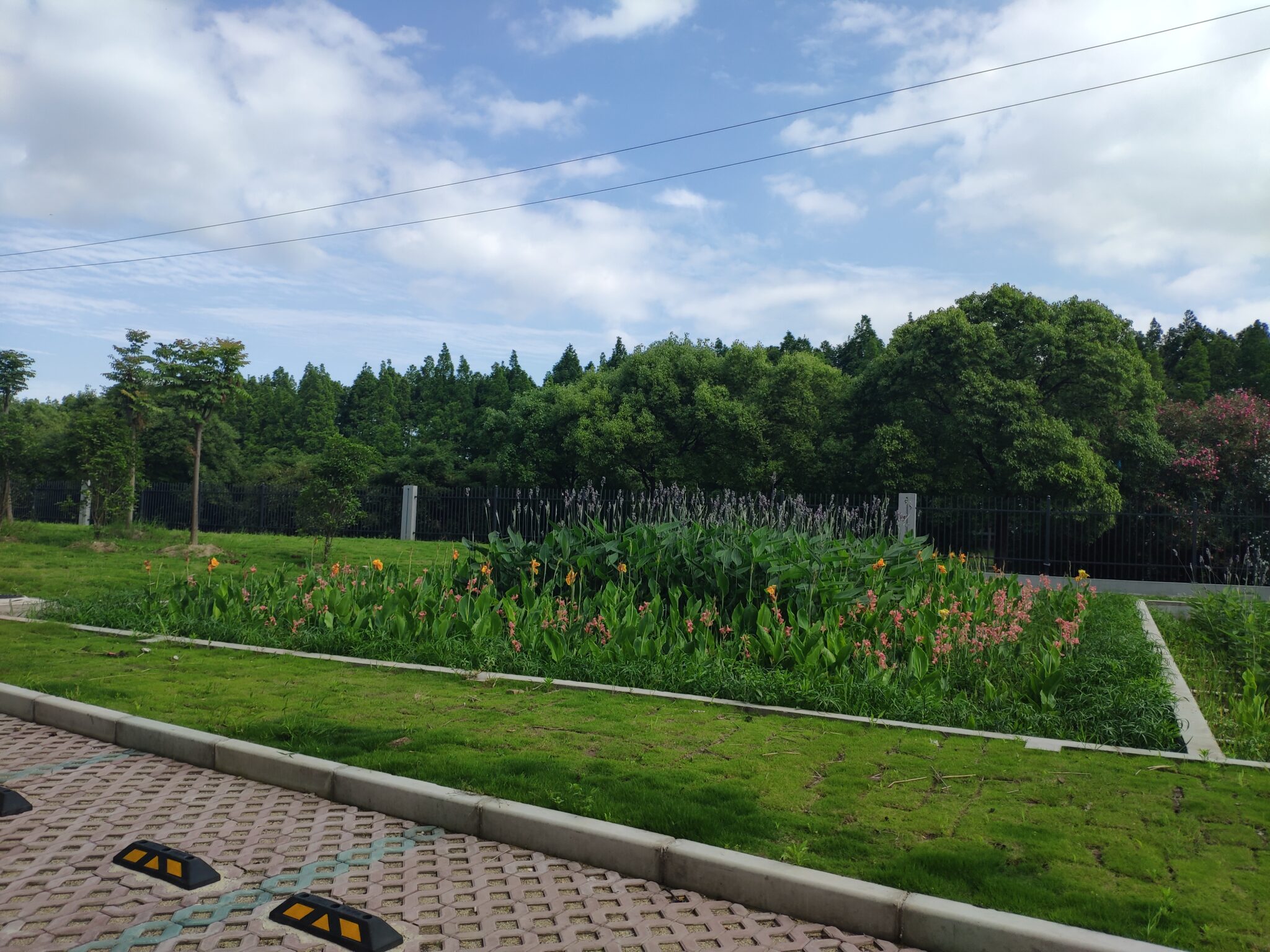 Beyond Traditional Filtration: How the Carbon-Silicon Micro-Dynamic ...